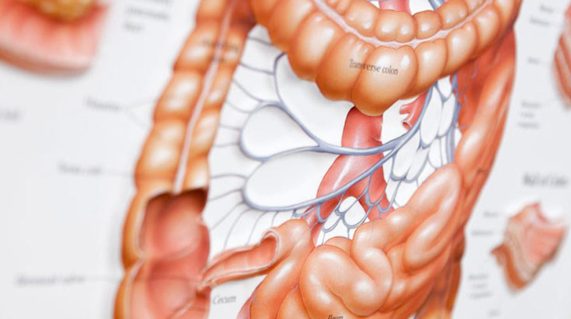 Irritabel tarm syndrom | Aleris