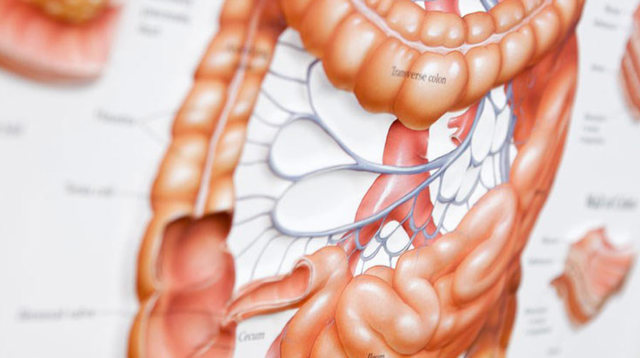 Irritabel tarm syndrom | Aleris