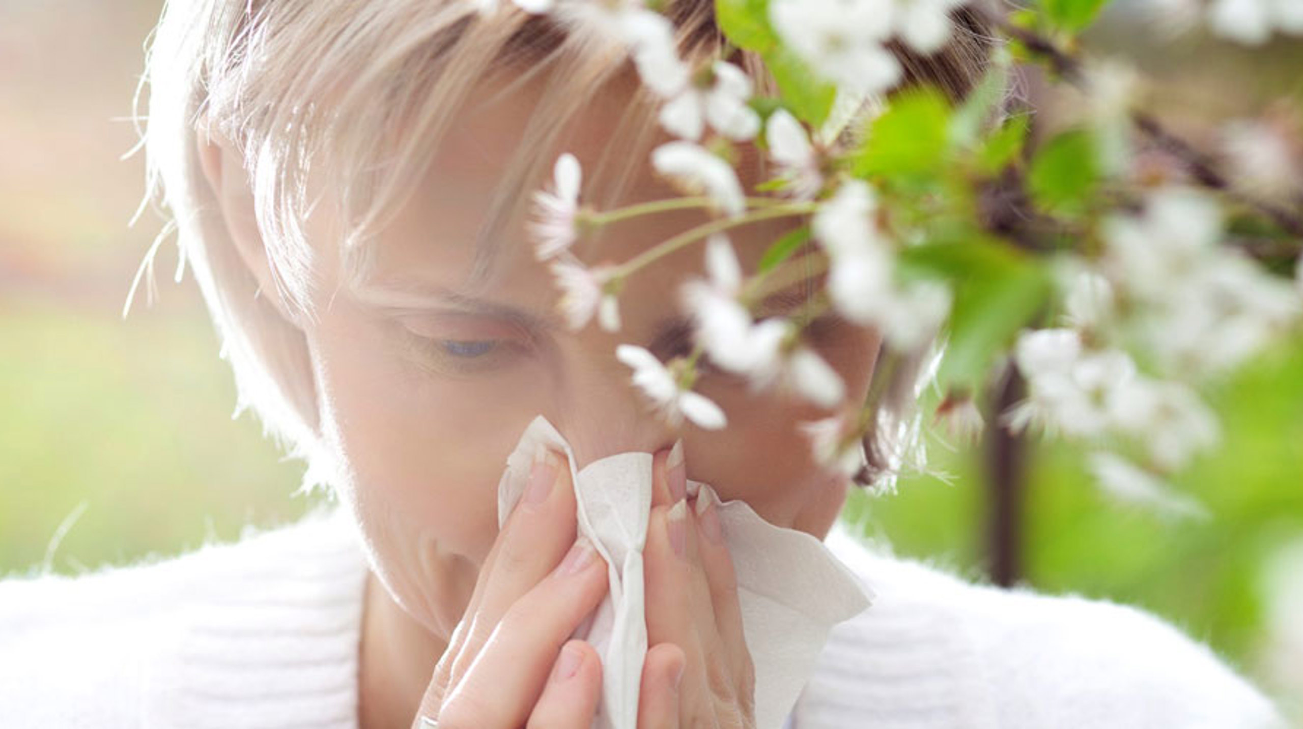 Allergi: Allergiutredning og behandling